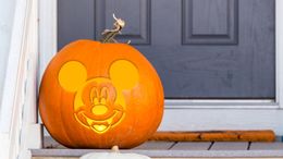 18 Free Printable Pumpkin Carving Templates GOBanking