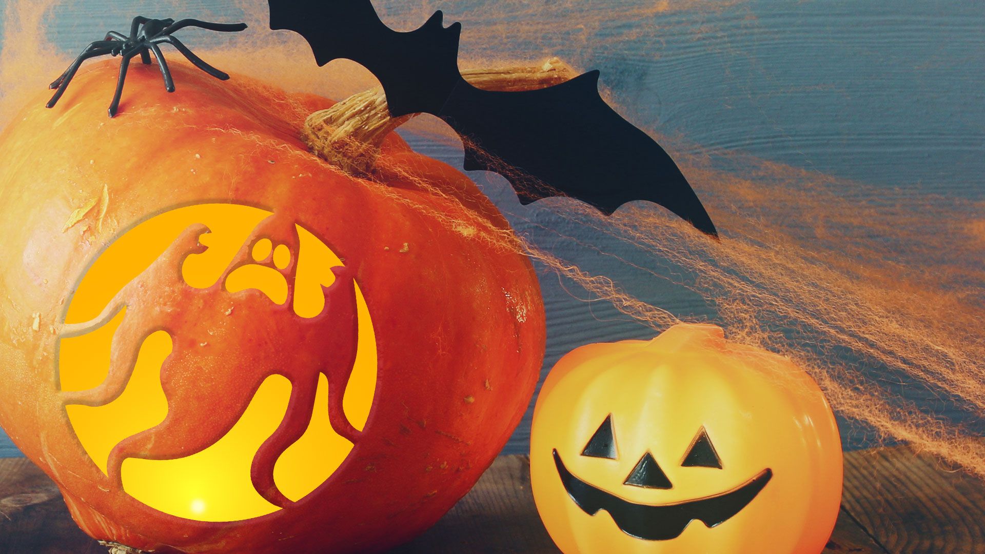 18 Free Printable Pumpkin Carving Templates | GOBankingRates