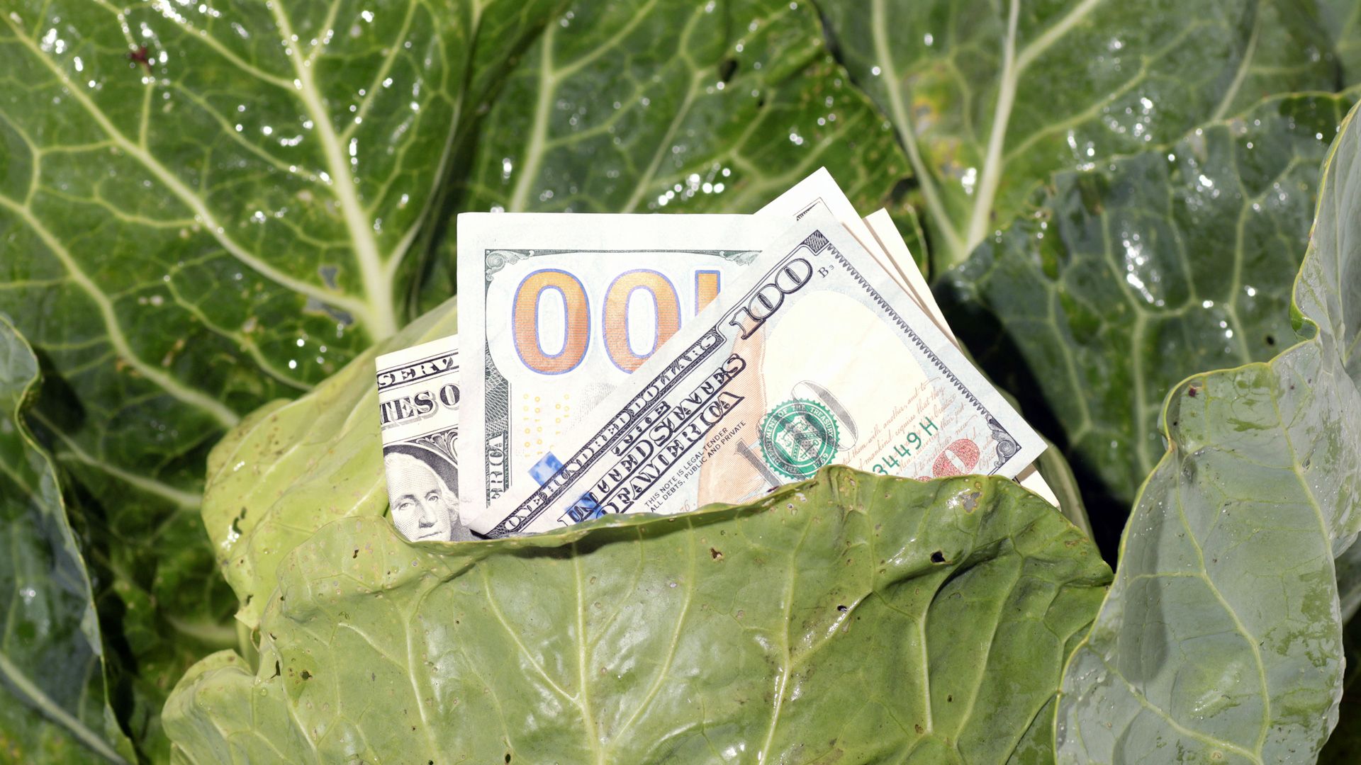 24 Weird Names for Money Around the World | GOBankingRates