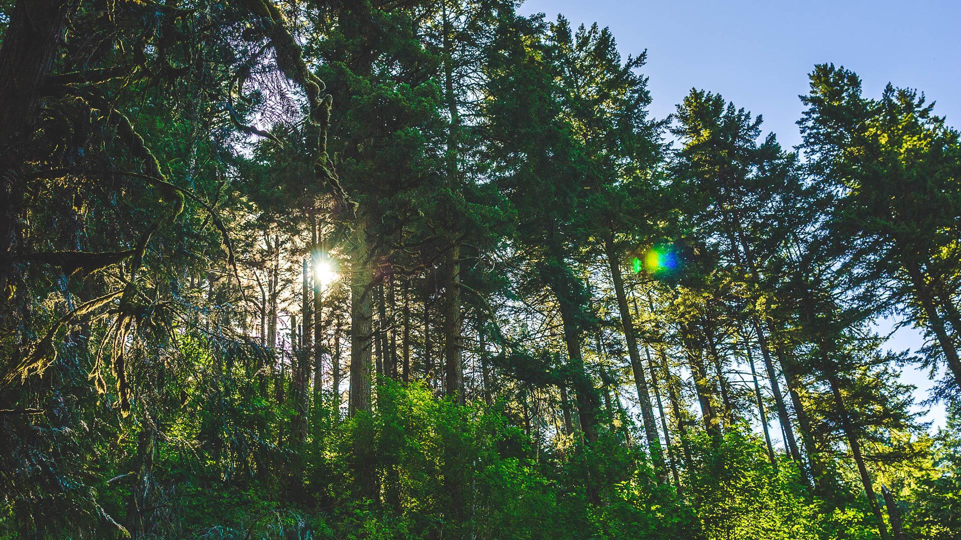 These People Own the Most Land in America | GOBankingRates