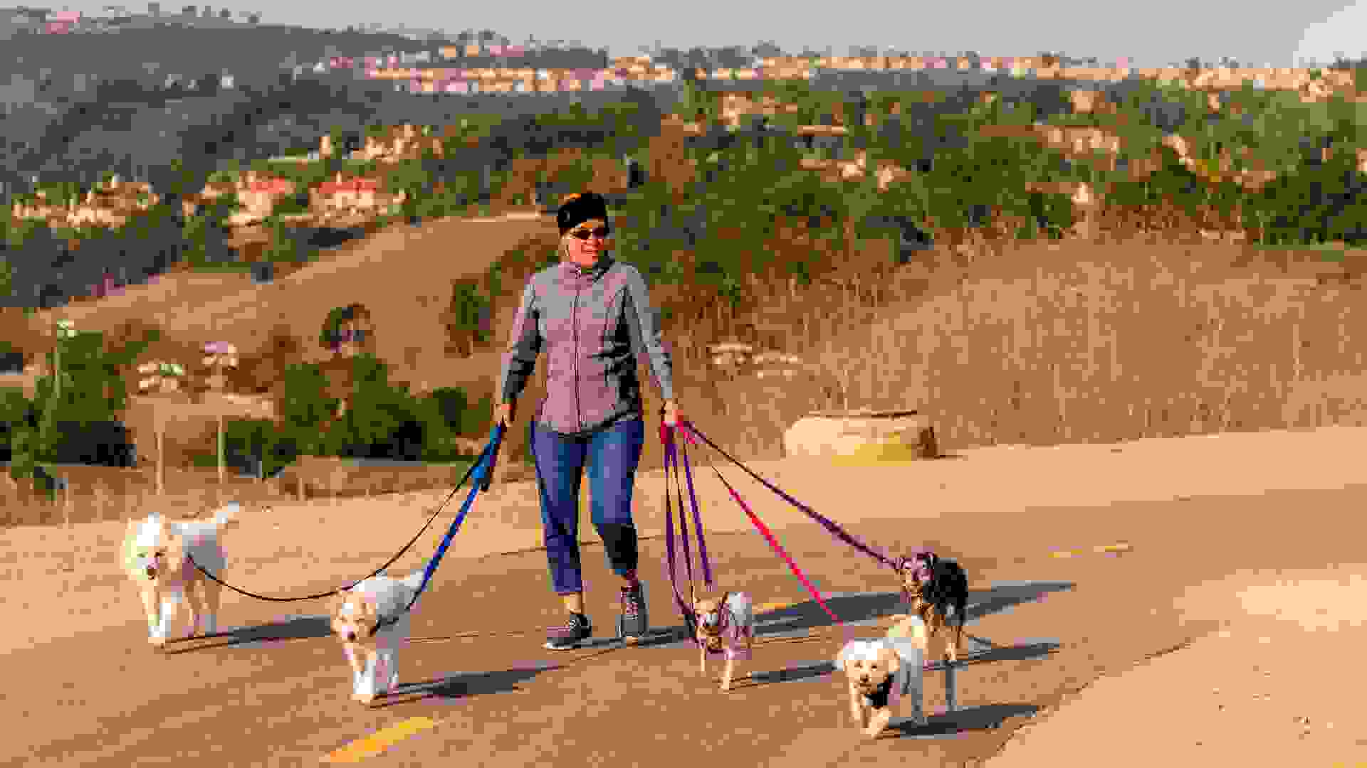 12 Best Jobs Working With Animals | GOBankingRates