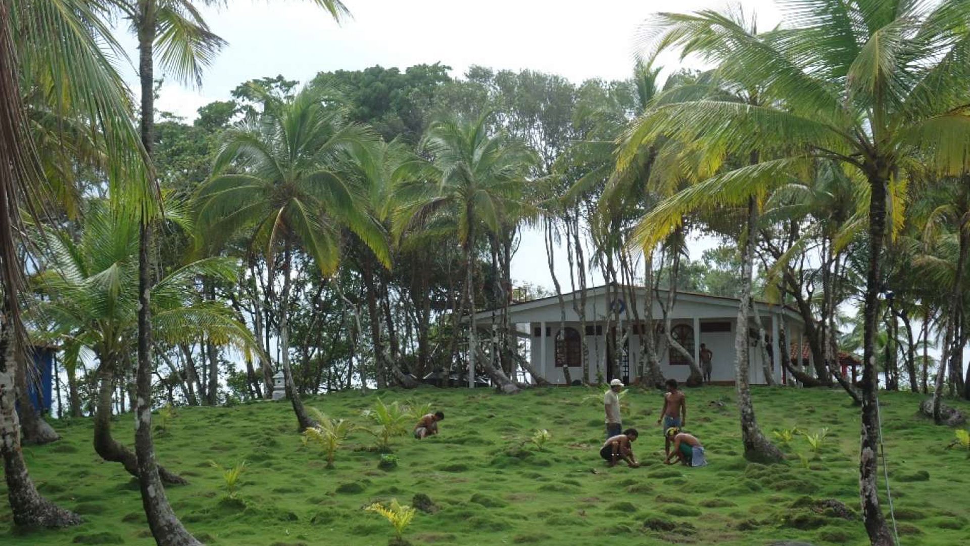 9 Private Islands You Can Buy For Less Than a California House ...